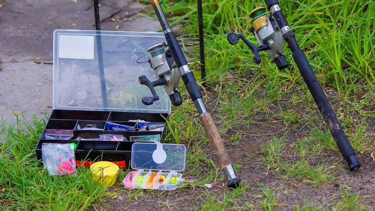 10 Best Baitcasting Reels for Pike Fishing (August 2025)