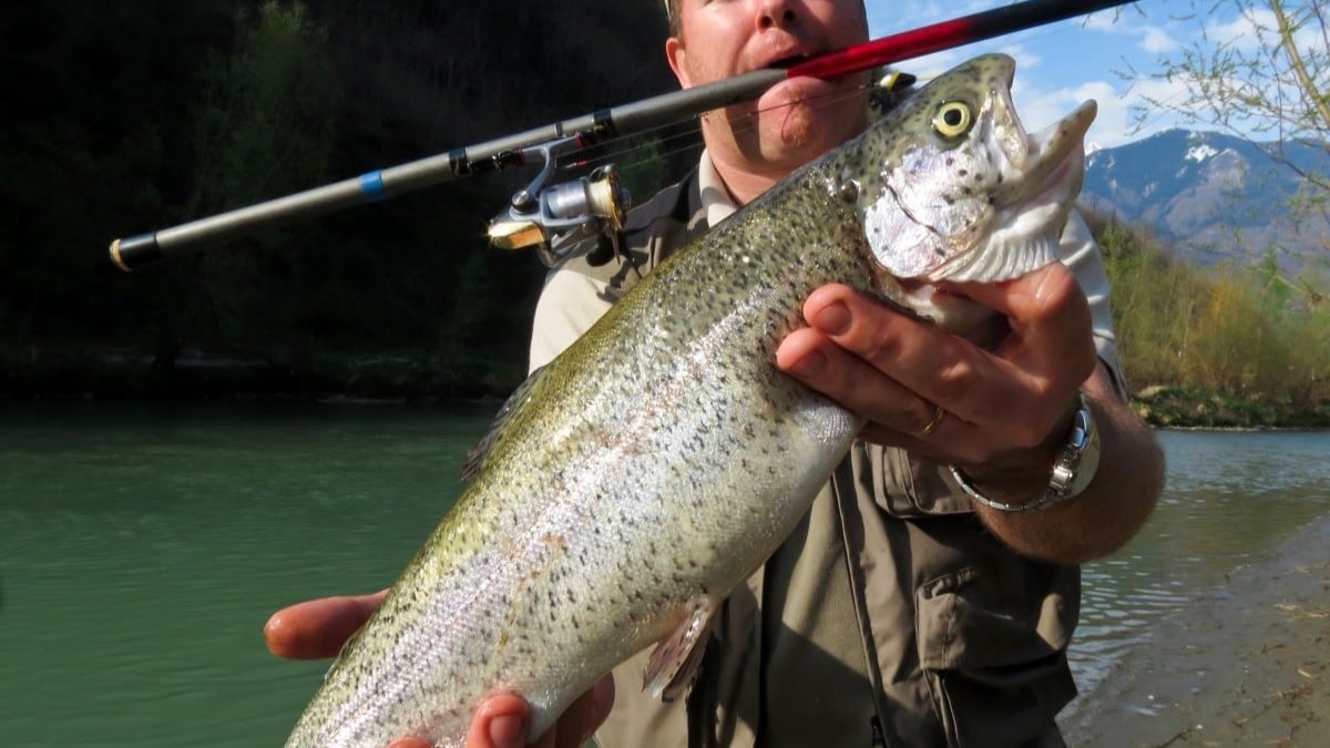 10 Best Trout Spinning Reels in 2025 - Dan's Fishing